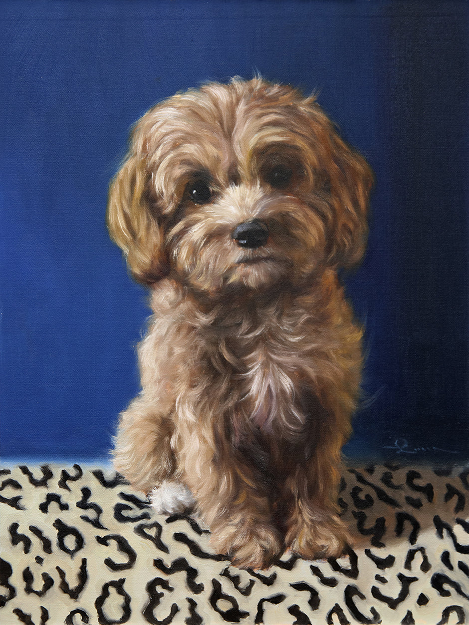 Originals – Page 24 – Lucia Heffernan